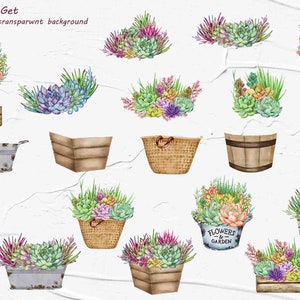 Succulent Watercolor Clipart. Houseplants Watercolor Clip Art. Cacti ...