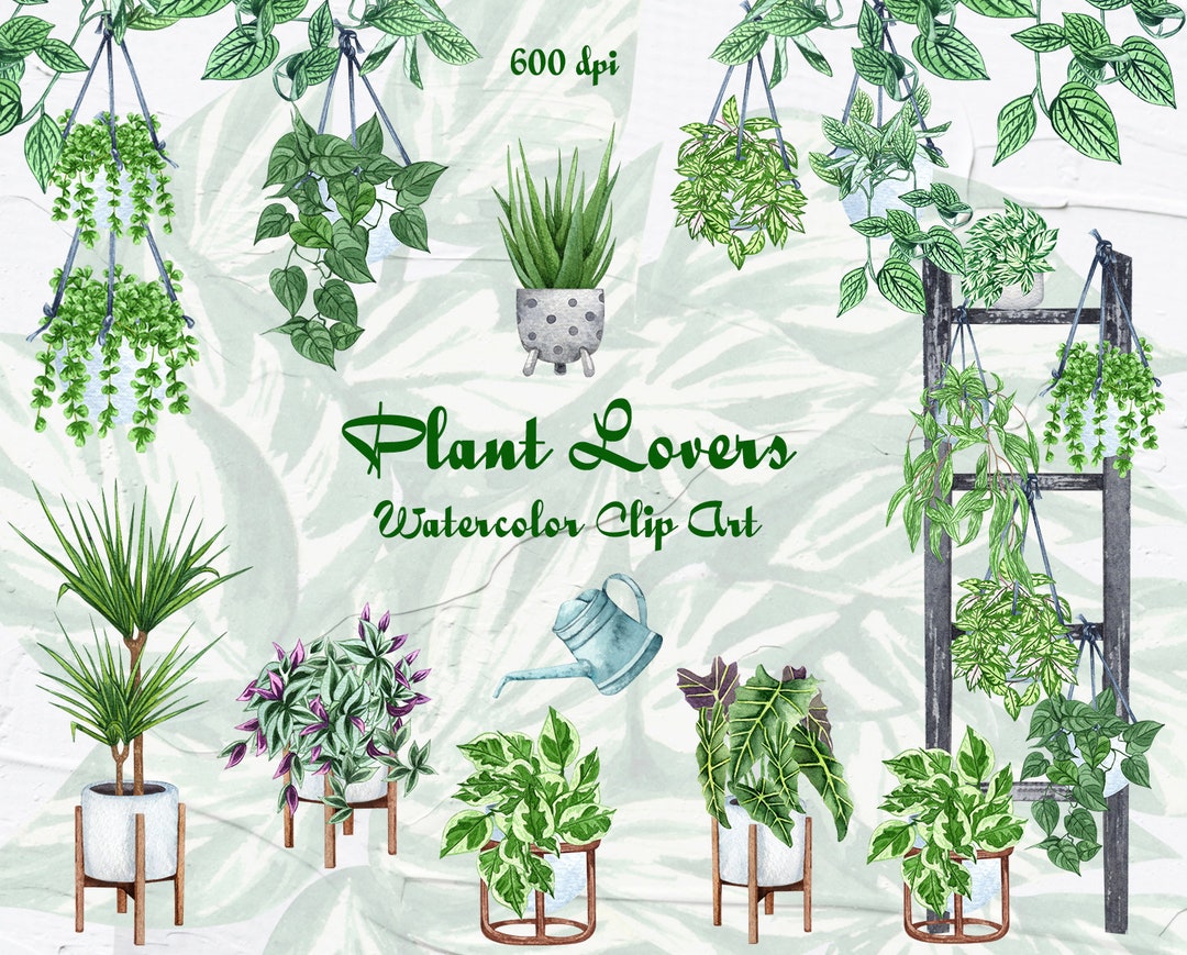 Plant Lovers. House Plants Clip Art. Indoor Plants Watercolor Clip Art ...