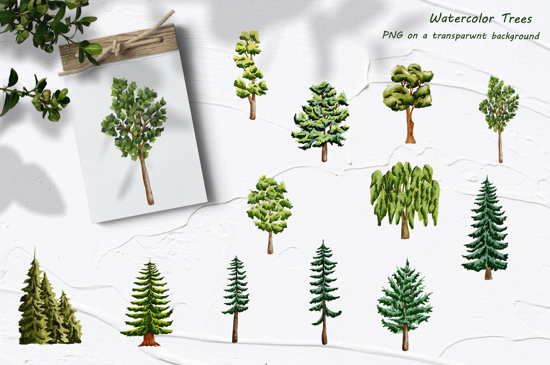 Forest Trees Clipart. Tree Watercolor Clipart. Woodland | Etsy