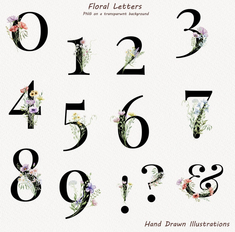 Wild Floral Alphabet Clipart. Wild Flowers Numbers Watercolor Spring ...