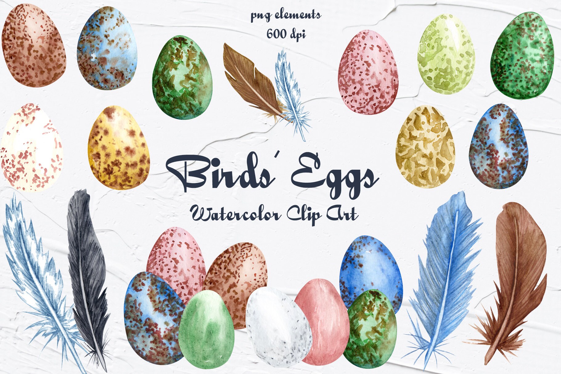 Bird Egg Clipart