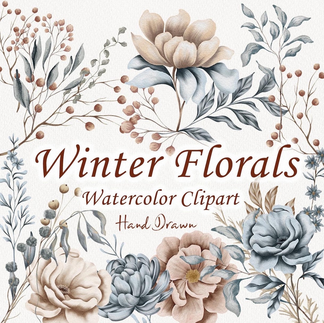 Watercolor Winter Florals Clipart. Winter Botanical Illustration. Dried ...