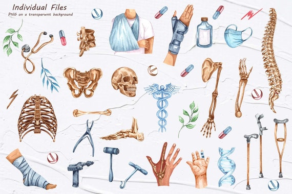 Orthopedic Clipart