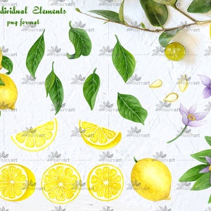 Lemon Watercolor Clipart. Lemon Tree Art. Summer Lemons Clipart, Lemon ...