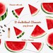 Watermelon Watercolor Clipart. Summer Fruit Clip Art, Watermelon Slice ...