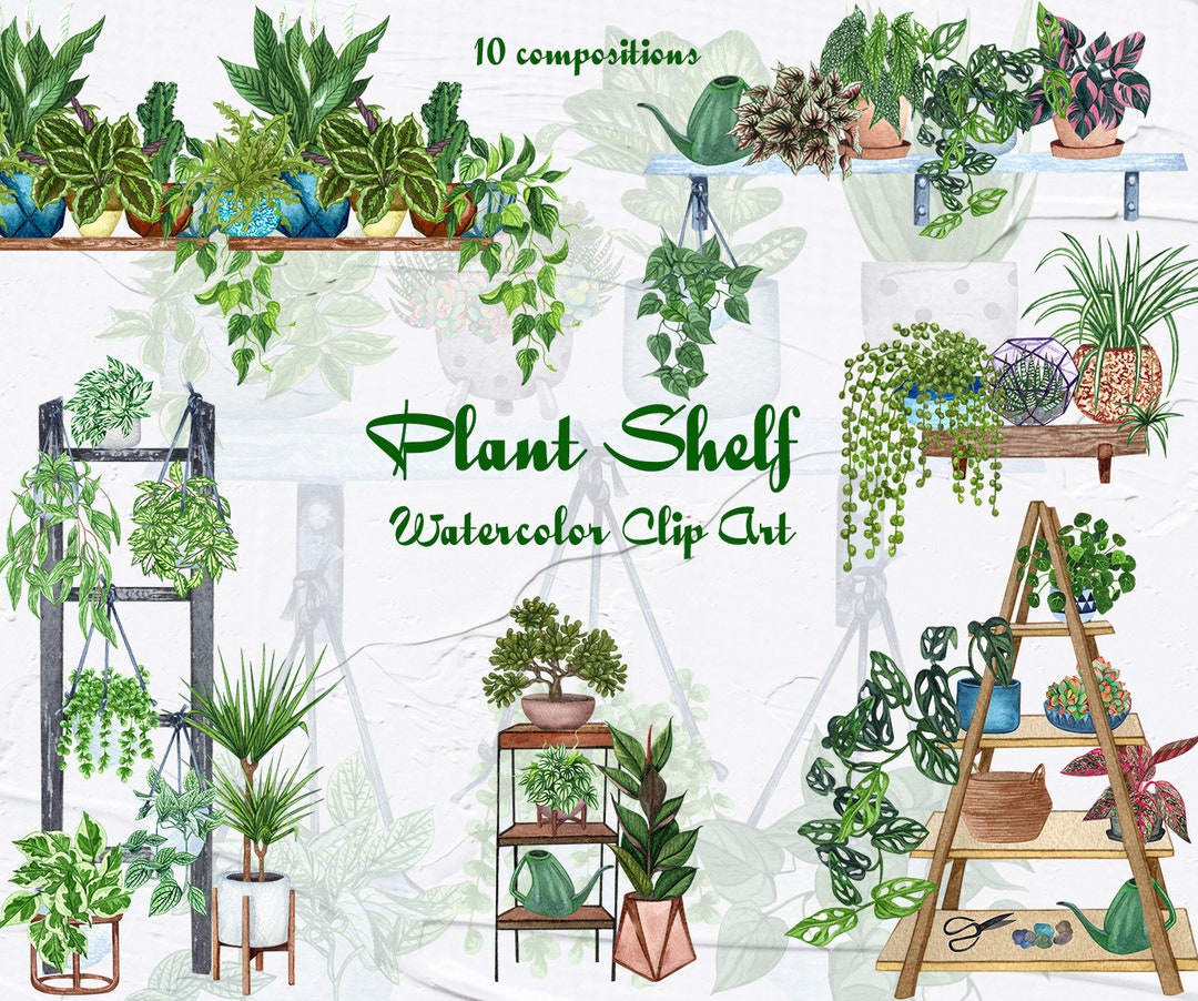House Plants Watercolor Clipart. Plant Shelf. Boho Hause. Indoor Plants ...