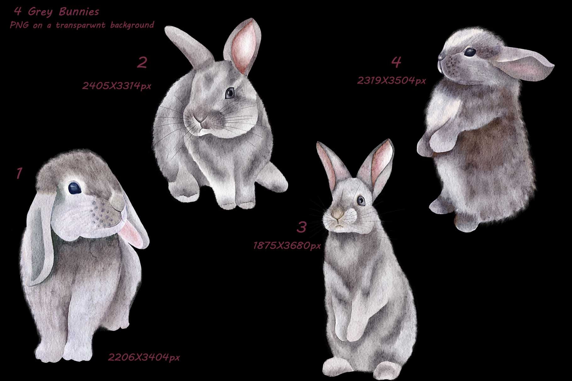 Bunny Clipart. Rabbit Clipart. Watercolor Bunnies Clipart. - Etsy