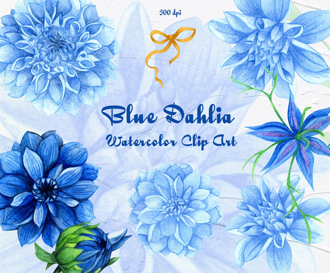 Blue Dahlia Watercolor Clipart. Dahlia Watercolor Clipart. - Etsy
