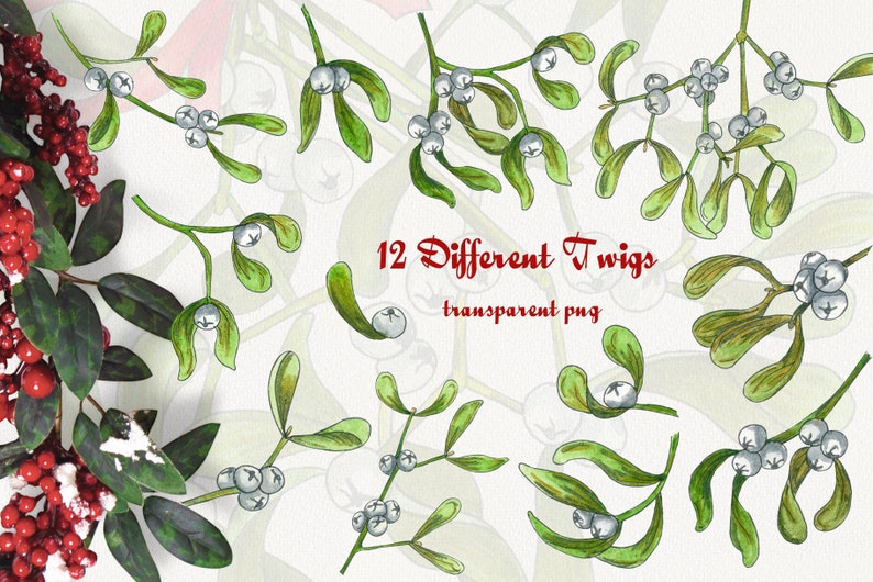 Mistletoe Watercolor Clipart. Christmas Mistletoe | Etsy