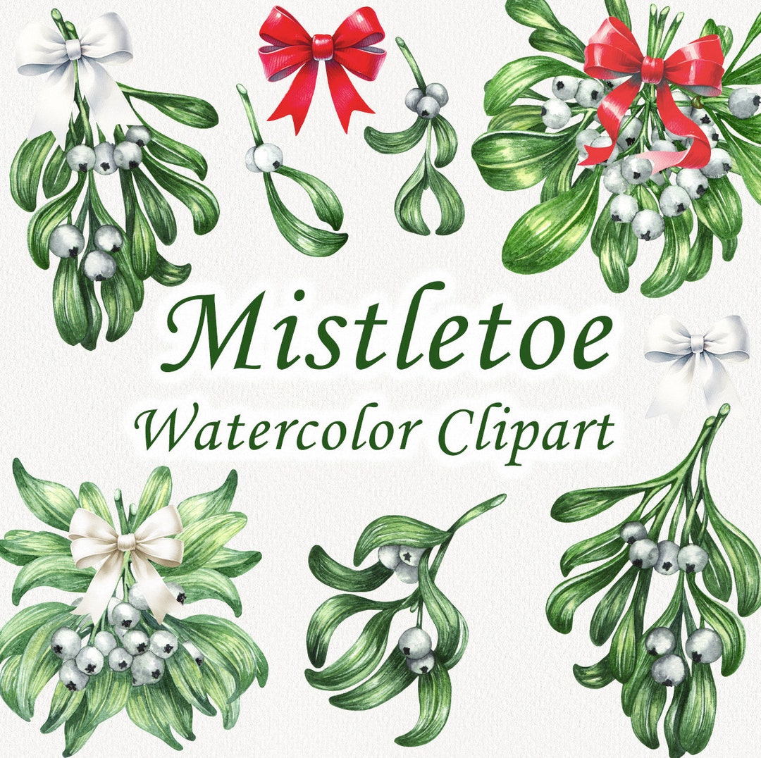 Mistletoe Watercolor Clipart. Decorative Bow Clipart. Christmas Clipart ...
