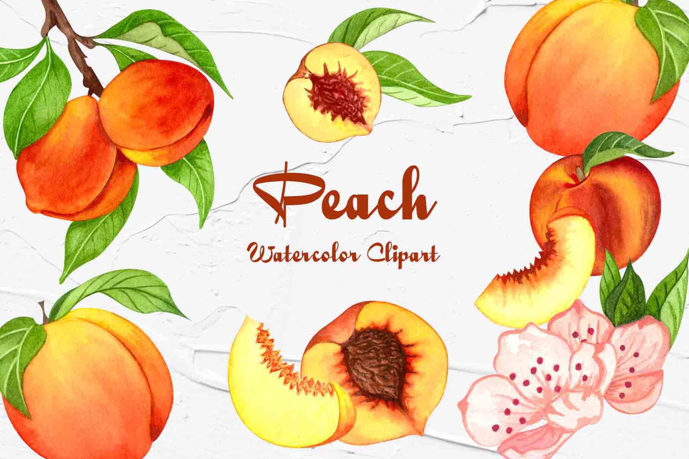 Peach Fruit Clip Art