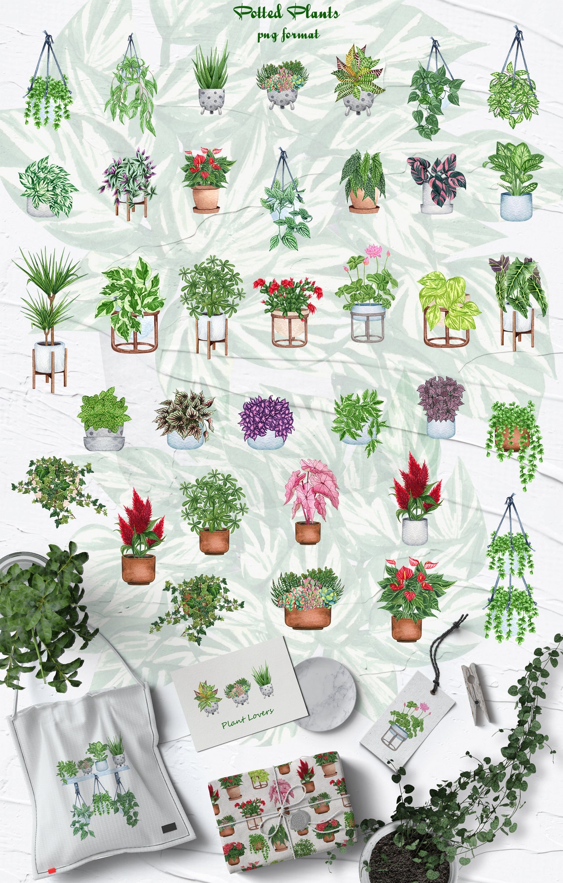 Watercolor Plant Big Collection. House Plants Clip Art. Indoor Plants ...