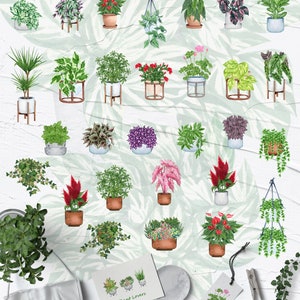 Watercolor Plant Big Collection. House Plants Clip Art. Indoor Plants ...