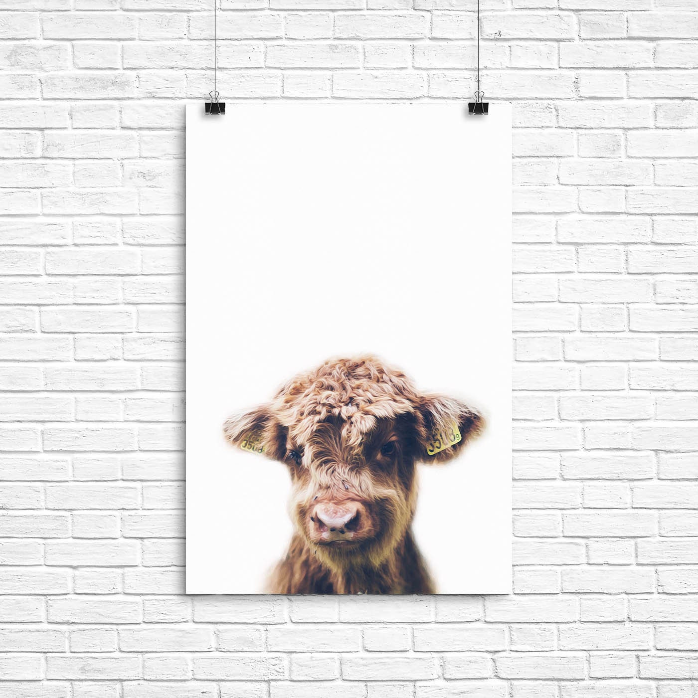 Baby Highlander Print, Nursery Wall Art, Baby Animal Prints, Nursery ...