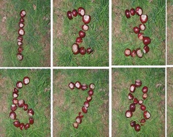 Autumn Flashcards - Etsy