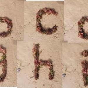 Seaweed Letters a to Z Phonics Alphabet Flashcards - Etsy UK