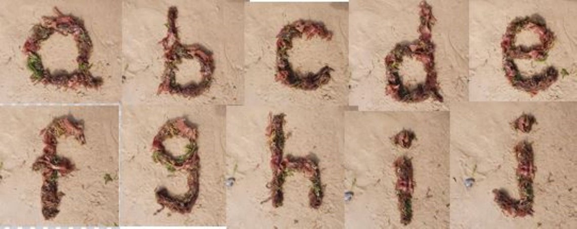 Seaweed Letters a to Z Phonics Alphabet Flashcards - Etsy UK