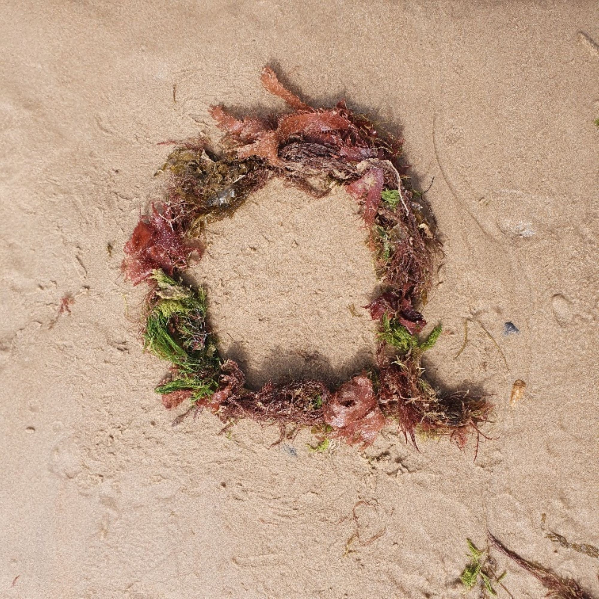 Seaweed Letters a to Z Phonics Alphabet Flashcards - Etsy UK