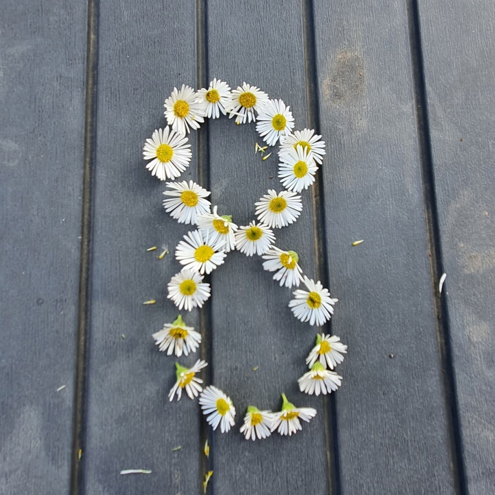 Daisy Numbers 1 to 10 Number Flashcards One to Ten Nature - Etsy