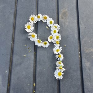 Daisy Numbers 1 to 10 Number Flashcards One to Ten Nature - Etsy