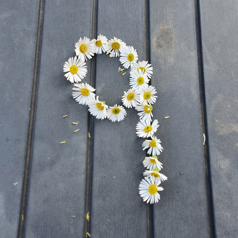 Daisy Numbers 1 to 10 Number Flashcards One to Ten Nature - Etsy