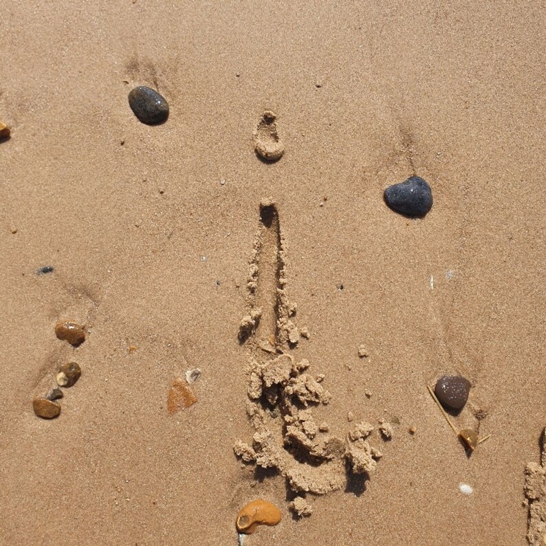 Sand Letter Recognition Flashcards Phonics Letter Writing - Etsy