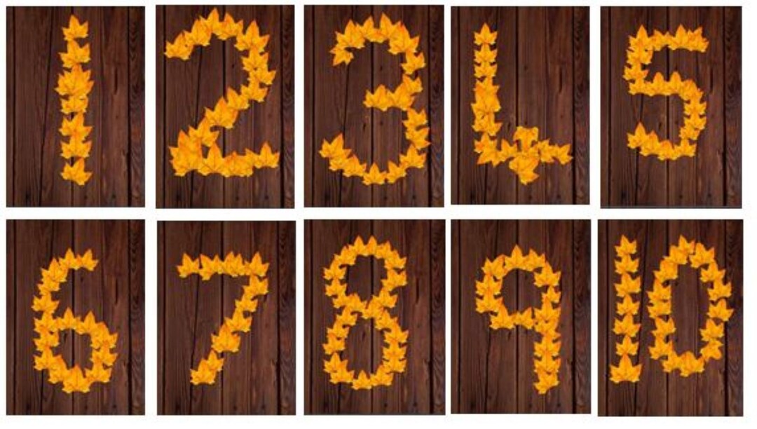 Autumn Leaves Counting - EYFS 1 TO 10 - Early Years Outdoor Resources ...