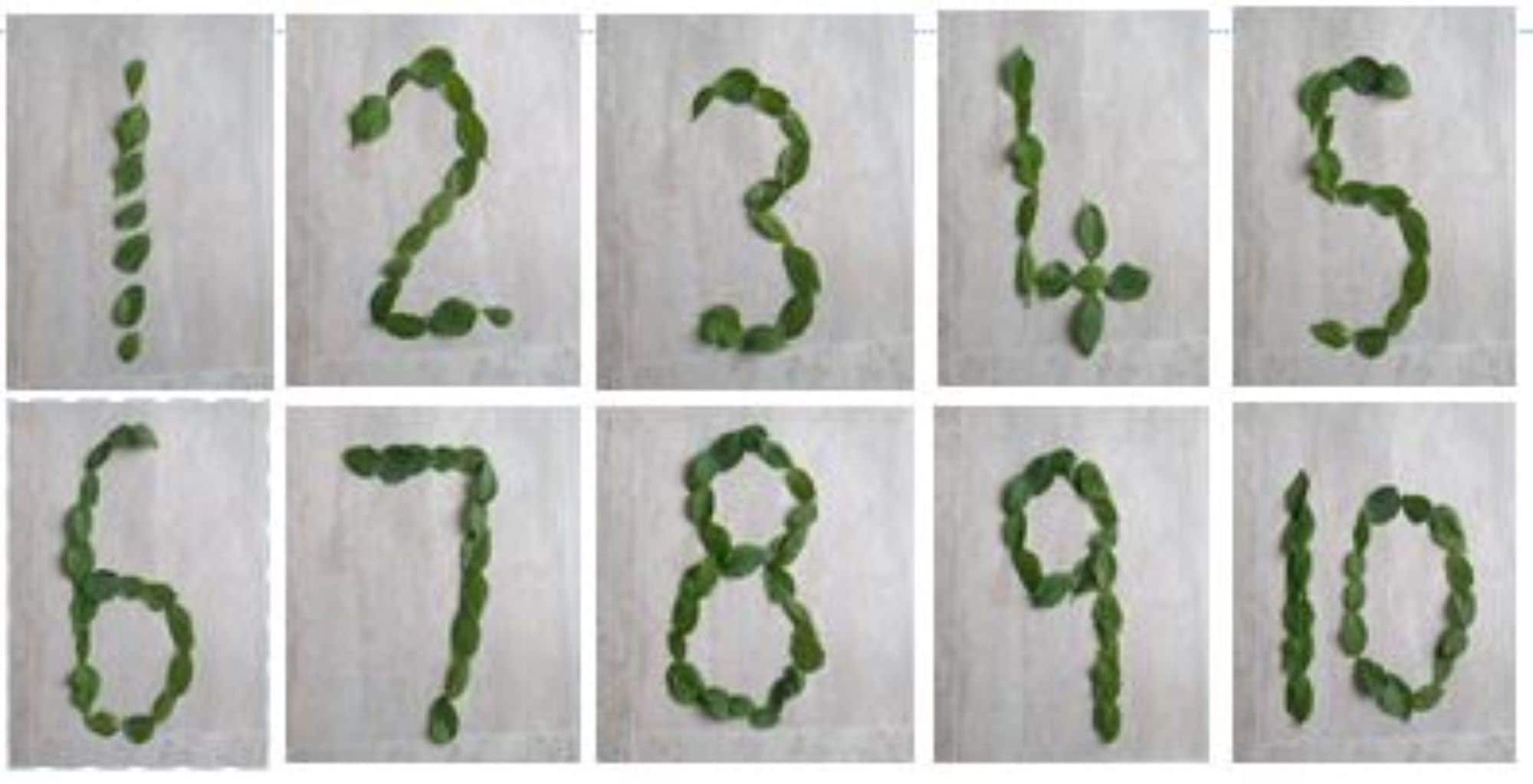 Outdoor Learning - Number Flashcards - Printable Numbers - Leaf Number ...