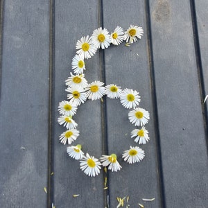 Daisy Numbers 1 to 10 Number Flashcards One to Ten Nature - Etsy