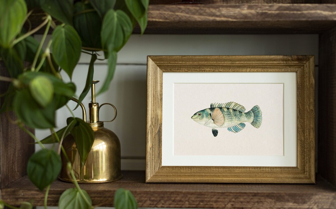 Watercolor Fish Printable Wall Art, Fish Digital Artwork, Coastal ...