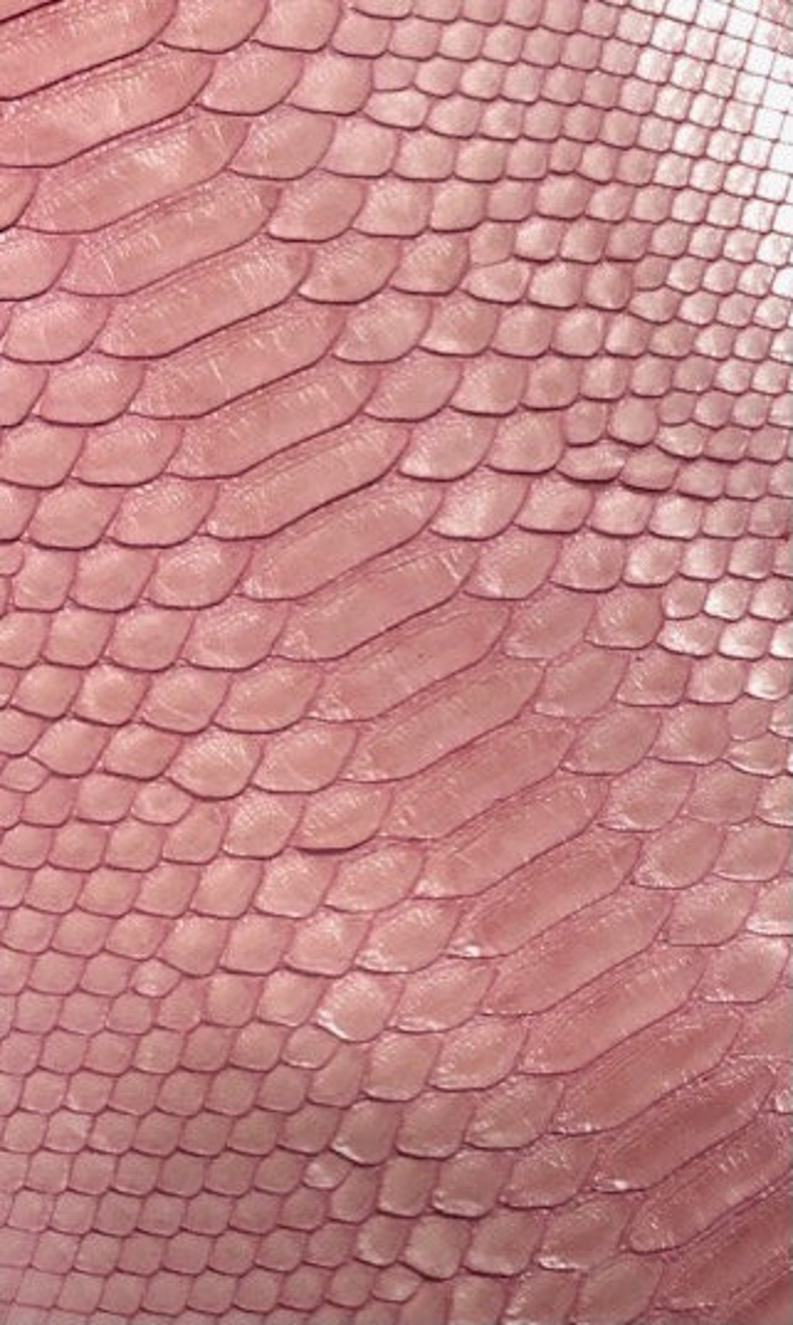 Python Leather Jacket Men Custom Biker Size M 4XL Premium Quality - Etsy