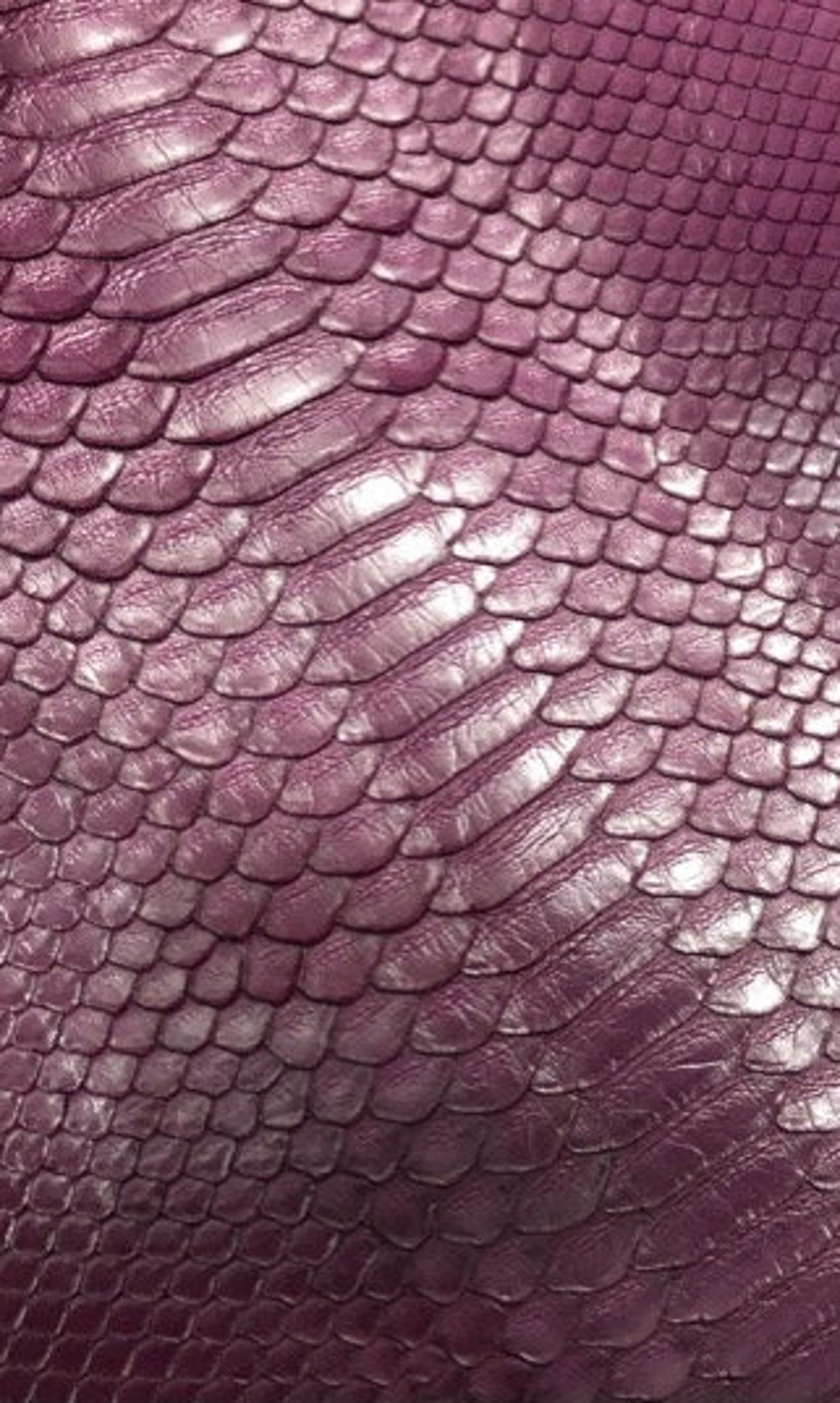 Python Leather Jacket Men Custom Biker Size M - 4XL Premium Quality - Etsy