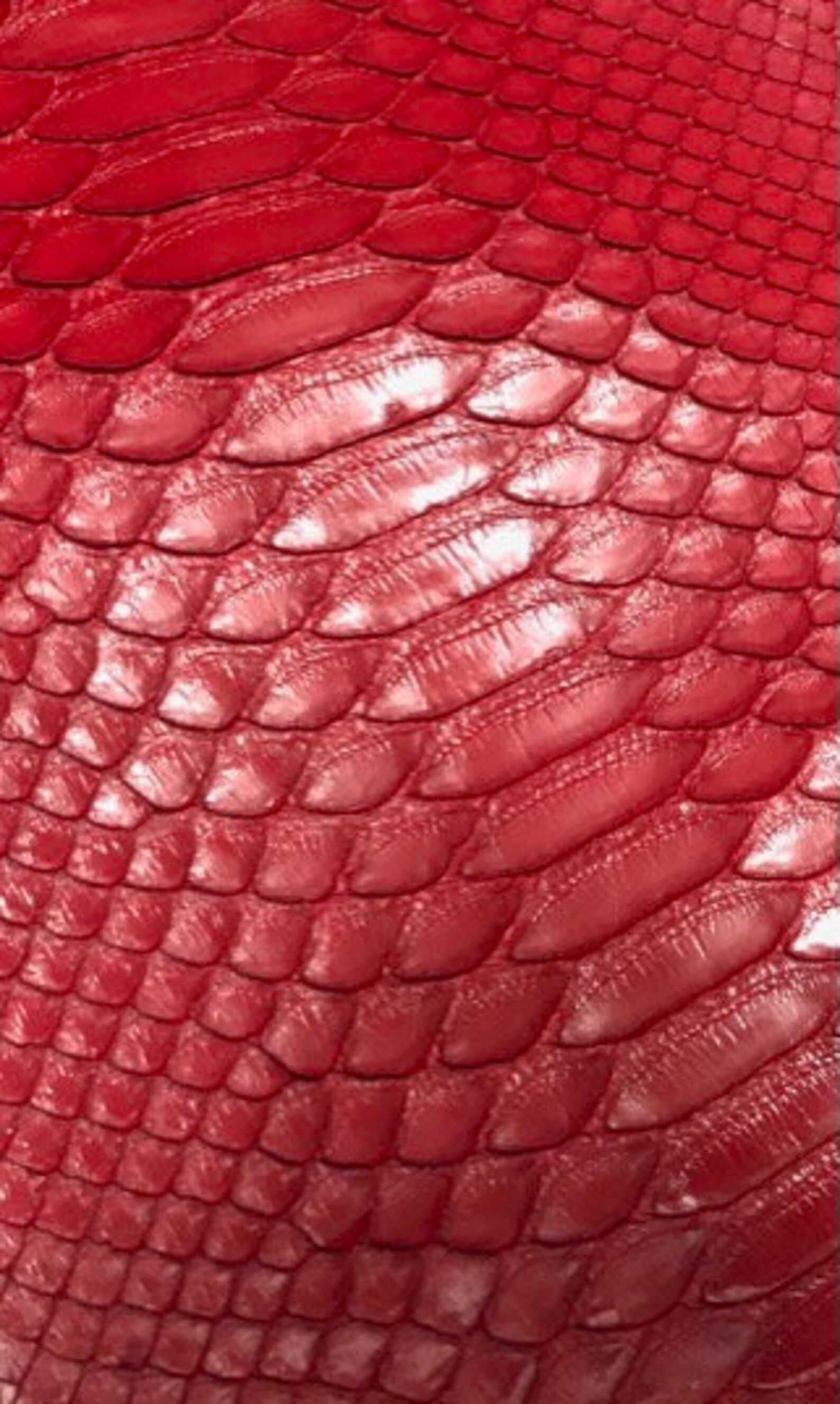 Python Leather Jacket Men Custom Biker Size M - 4XL Premium Quality - Etsy