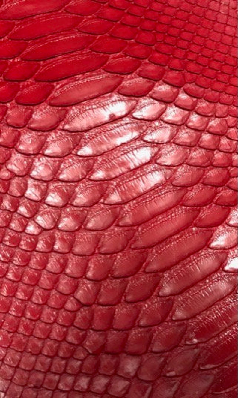 Python Leather Jacket Men Custom Biker Size M - 4XL Premium Quality - Etsy