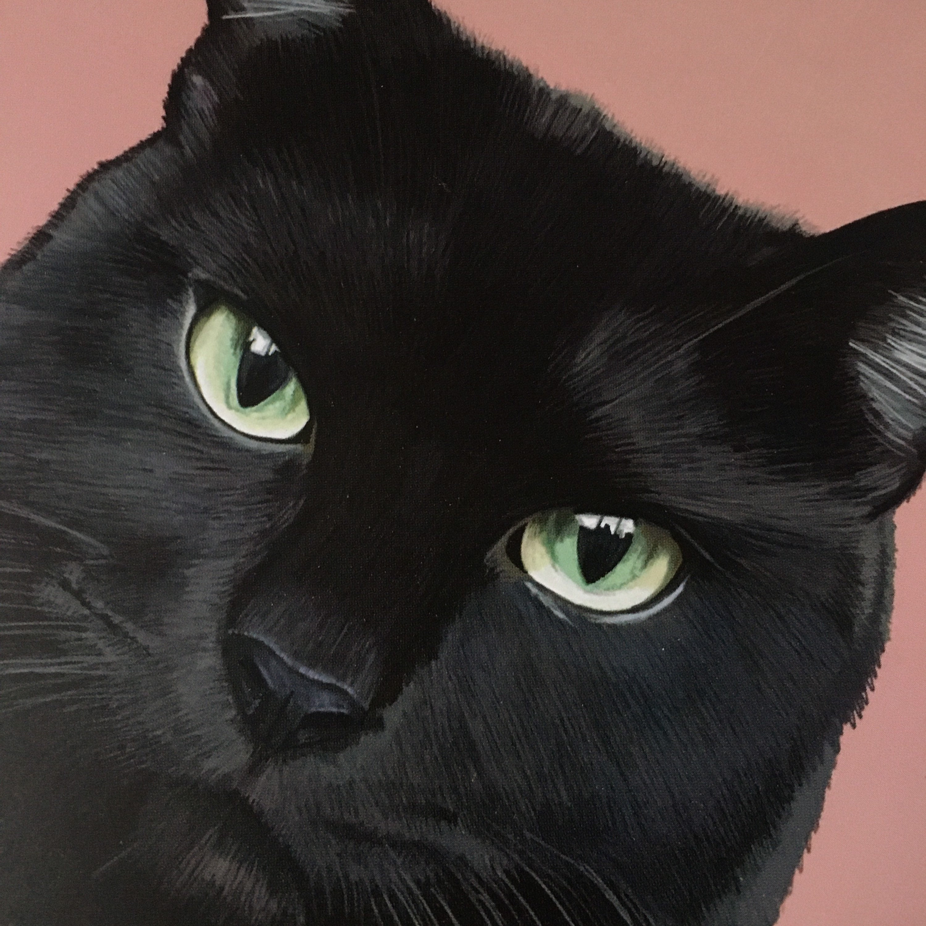 A5 Cat Drawing Print Original, Illustration, Artwork, Kitten, Cats ...