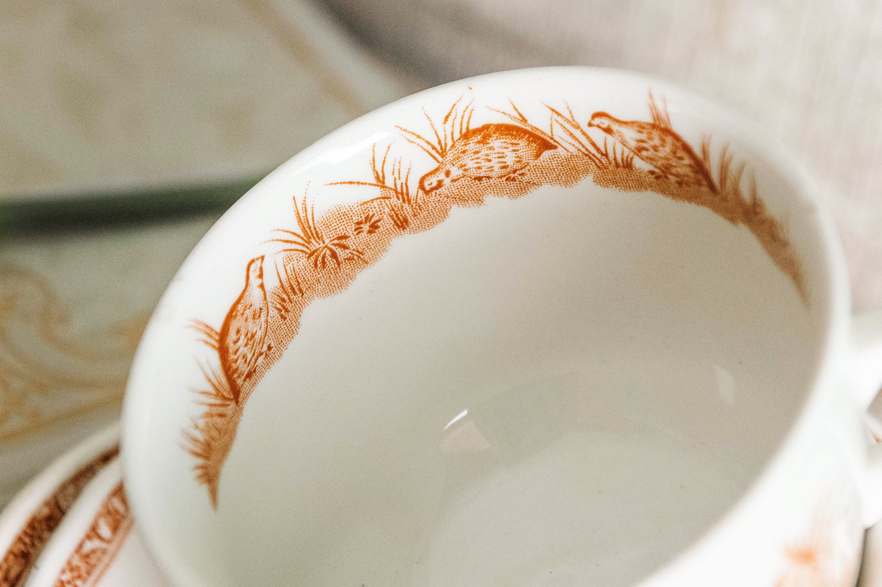 Two Furnivals Quail Tea Cups and Saucers a Pair of 1921 - Etsy