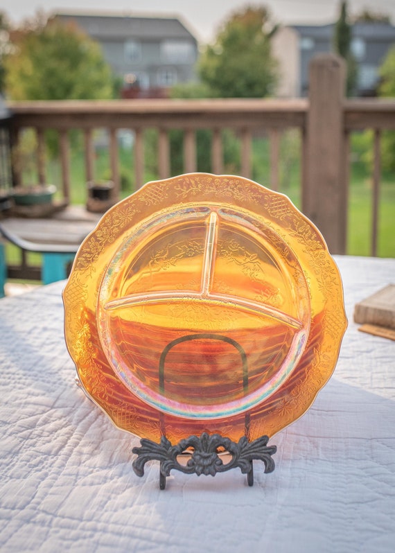 Glass Divided Dinner Plates