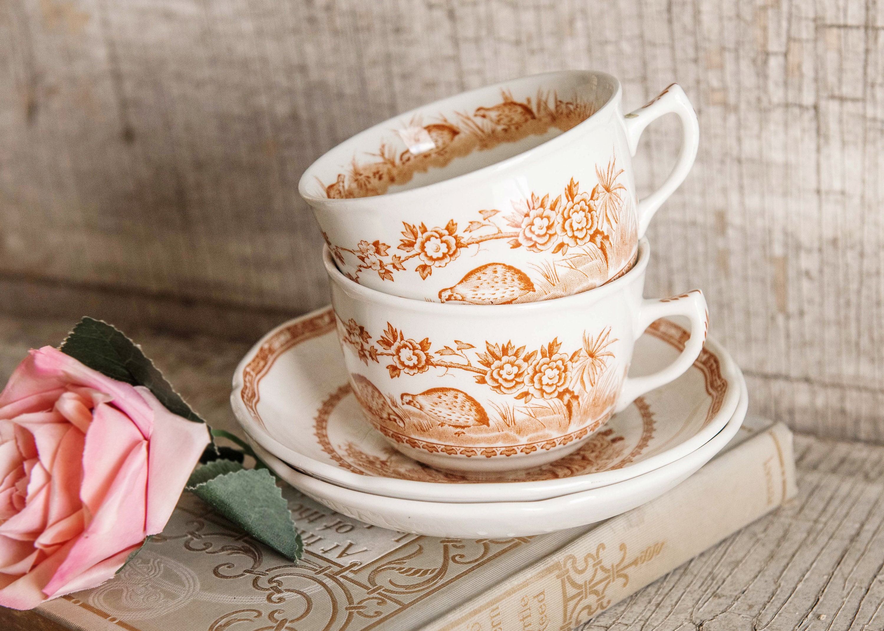 Two Furnivals Quail Tea Cups and Saucers a Pair of 1921 - Etsy