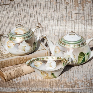 Antique RS Germany Tea Set; Lovely Tea Pot, Sugar and Interestingly ...