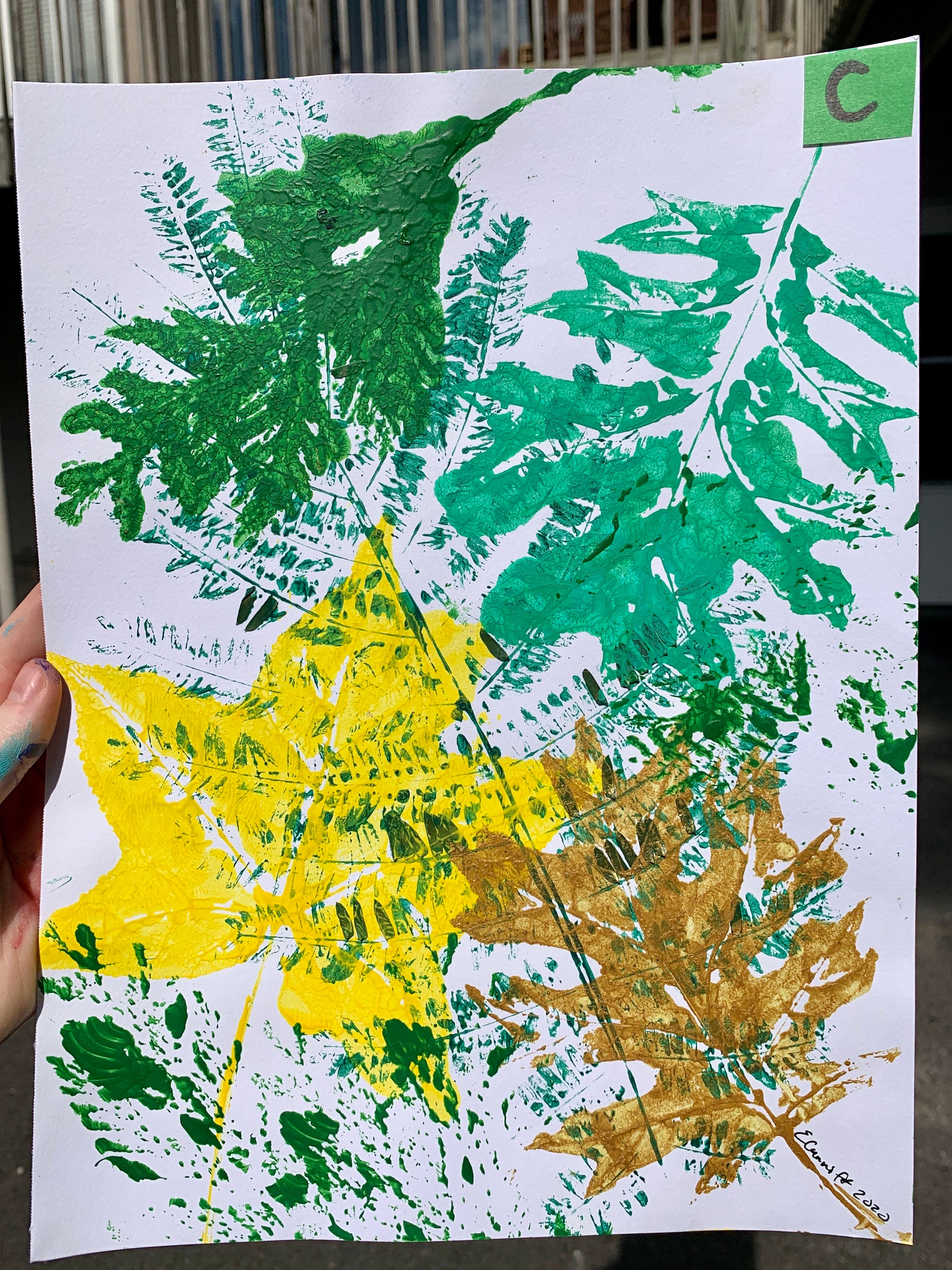 Leaf Prints for Fall | Fall Decor - Etsy