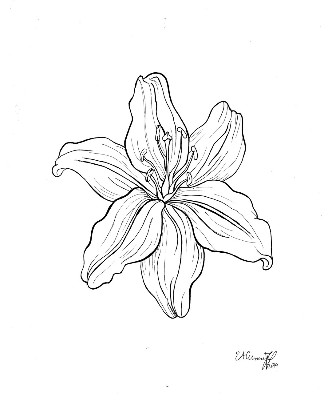 Hand Drawn Lily Flower Print | Minimalist Floral Art - Etsy