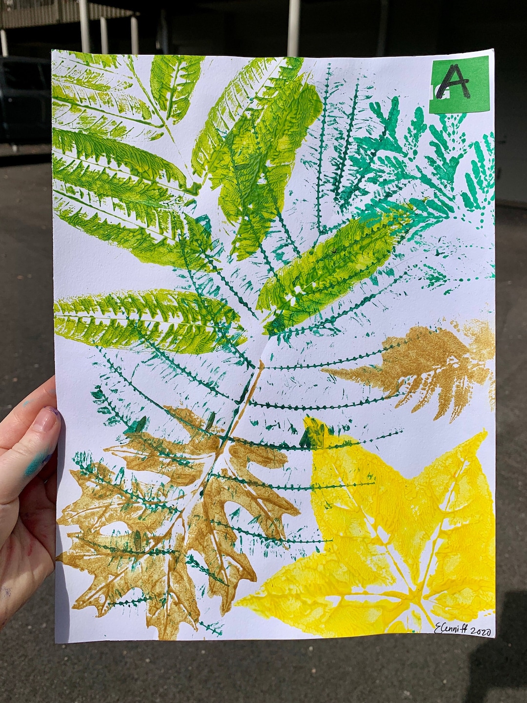 Leaf Prints for Fall | Fall Decor - Etsy