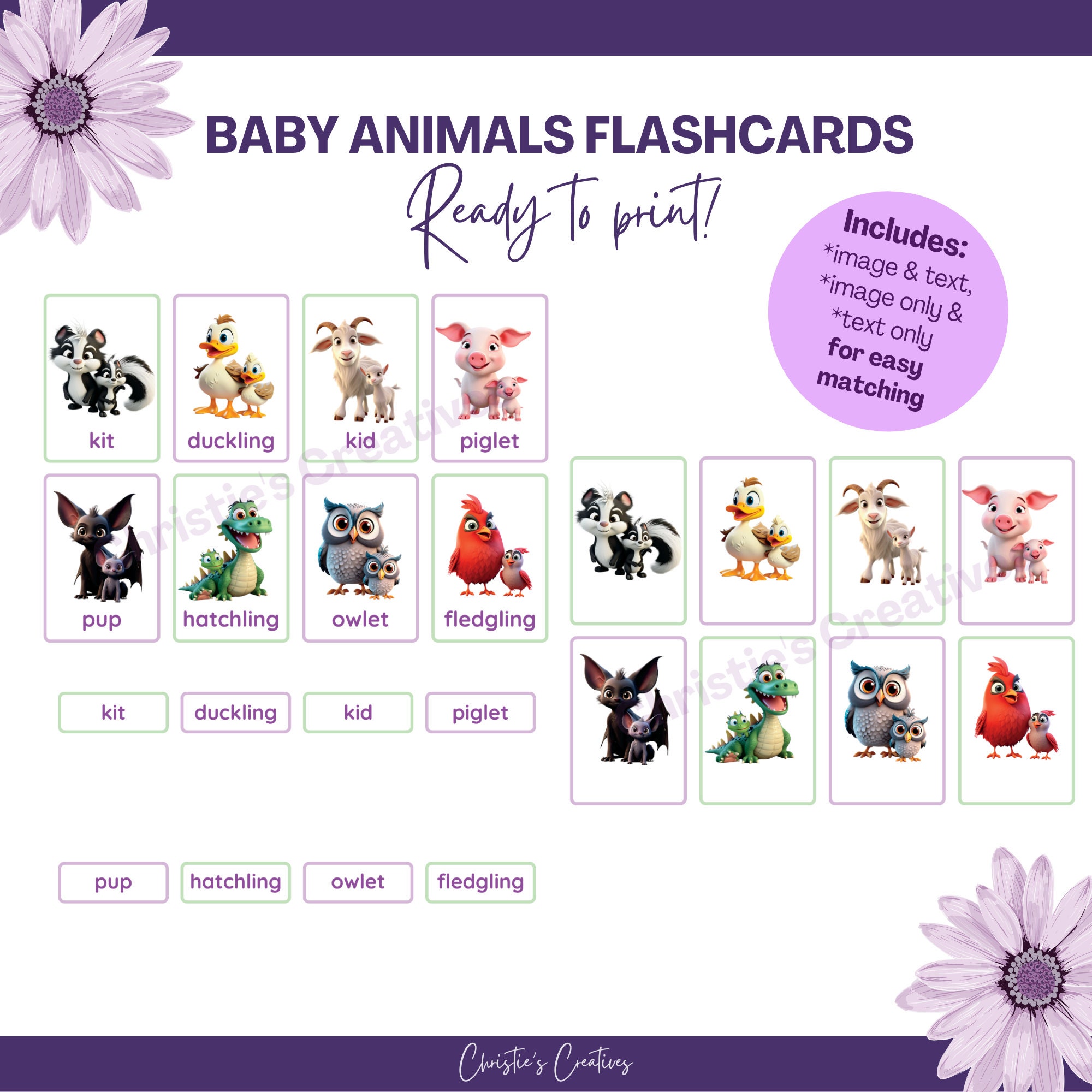 Set of 16 Adult & Baby Animals Flashcards 3-part Nomenclature ...