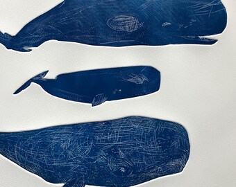 sperm whale etching