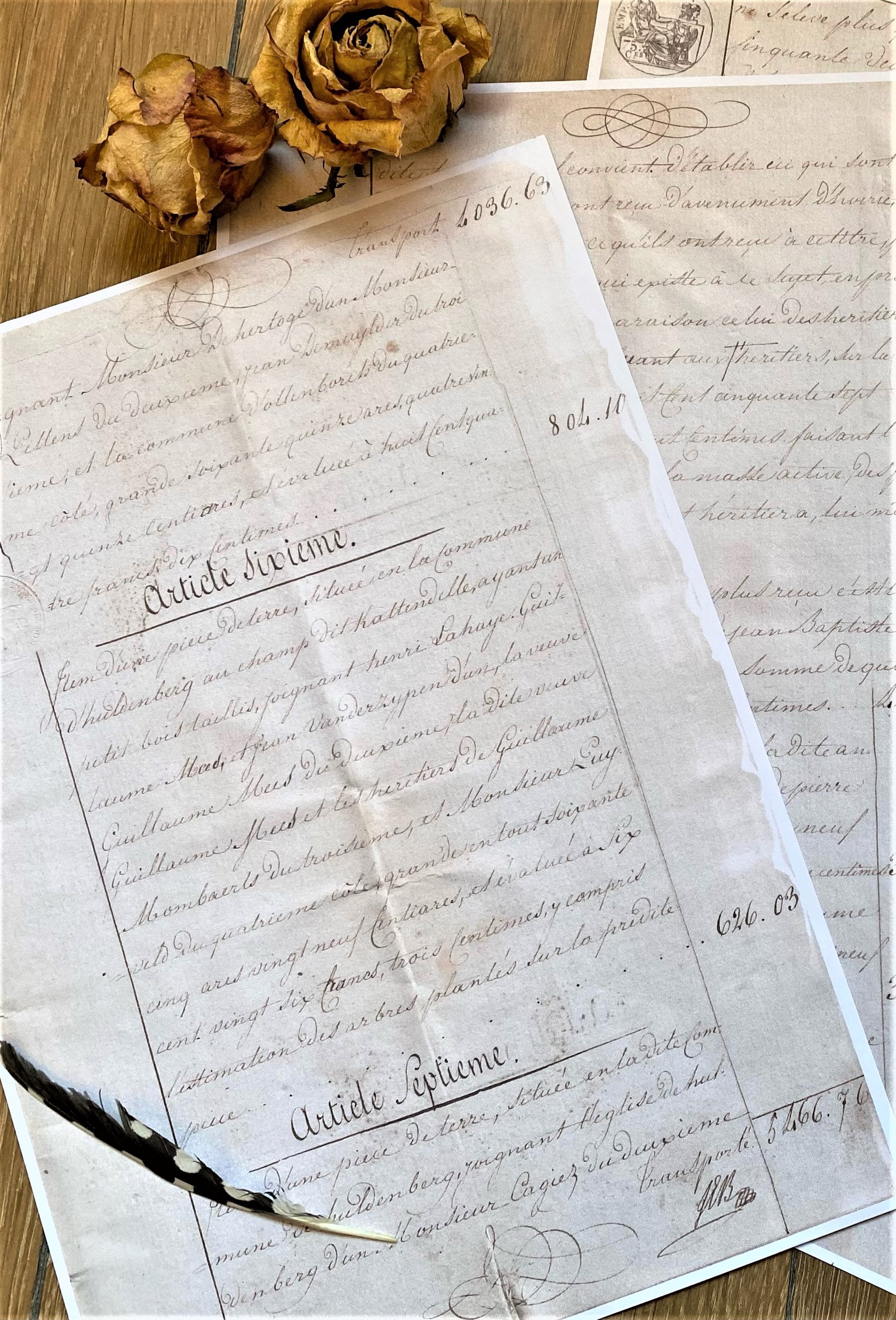 1912 Antique Documents Set 1, 15 Pages, Covers and Backs in 4 Vintage ...