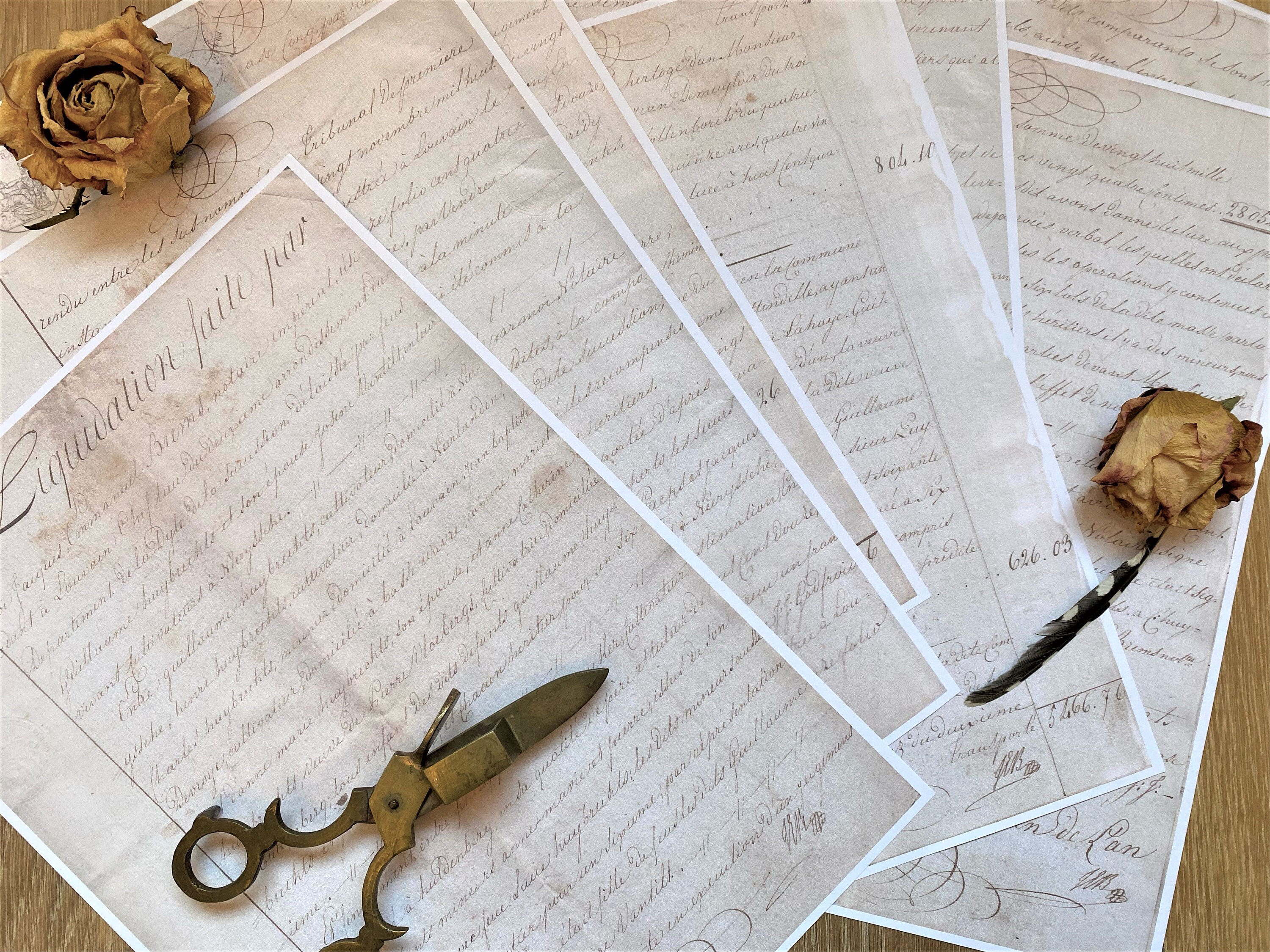 1912 Antique Documents Set 1, 15 Pages, Covers and Backs in 4 Vintage ...