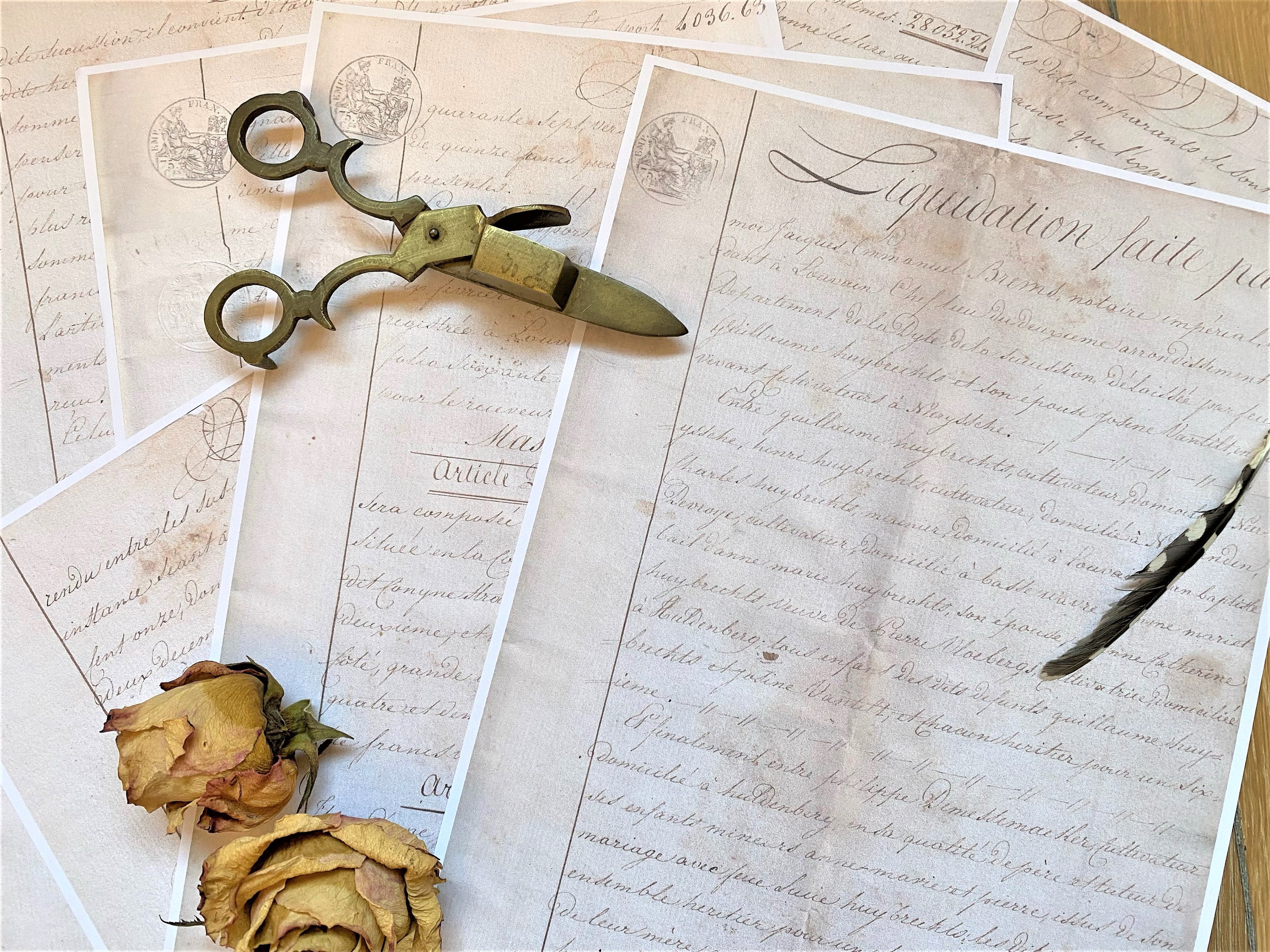 1912 Antique Documents Set 1, 15 Pages, Covers and Backs in 4 Vintage ...