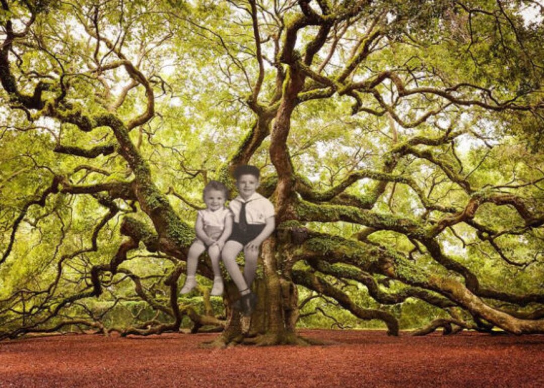 Buy Family Tree Chart, Genealogy Charts, Genealogy Forms, Genealogy ...