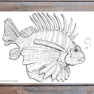 color therapy coloring pages lionfish