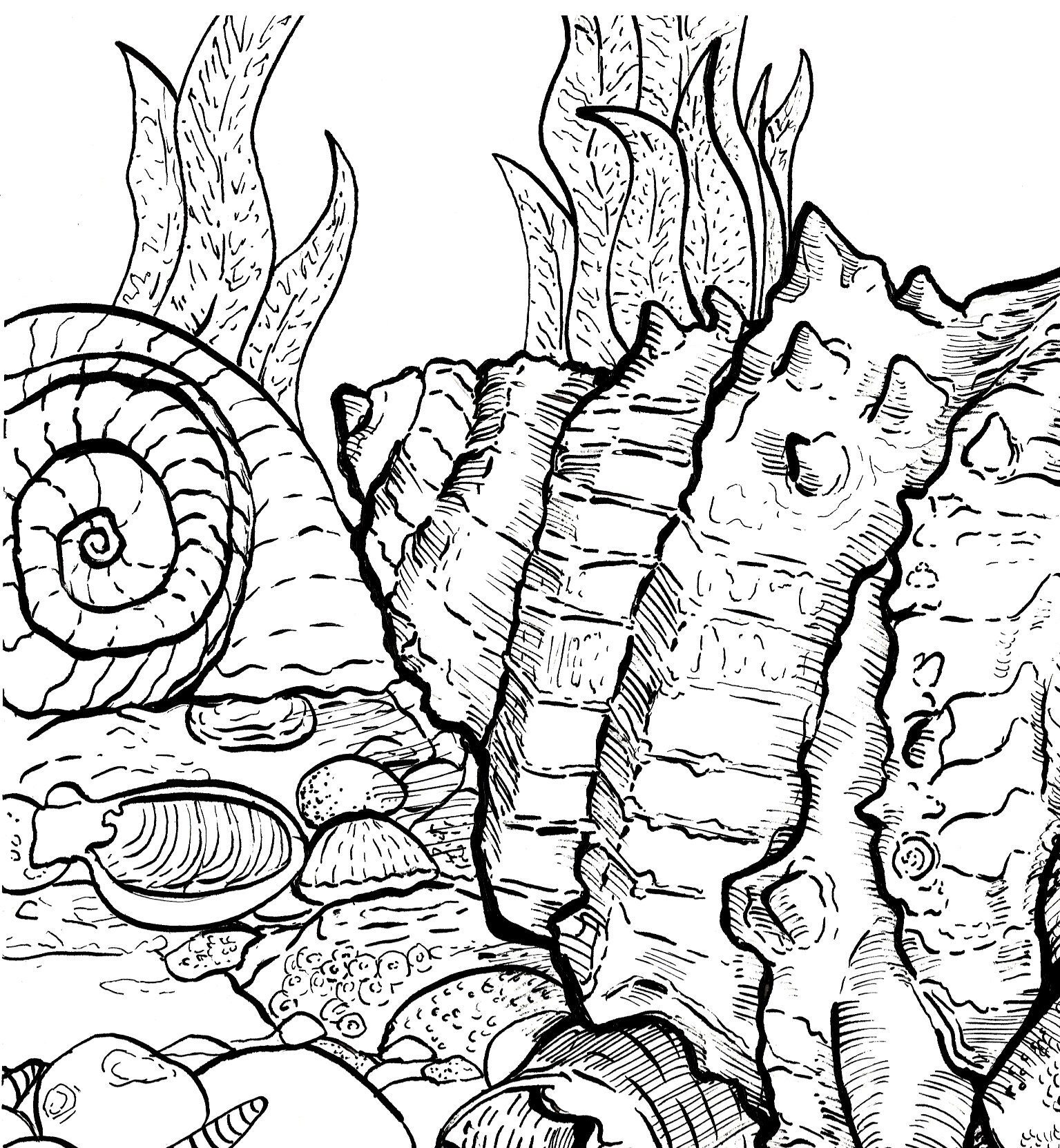 Hermit Crab Shells Coloring Page